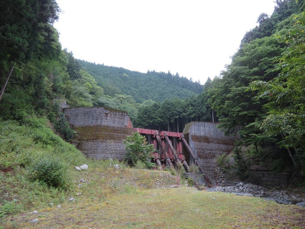 西丹沢 屏風岩山スローハイク 2023年7月5日: AYコーナー山ブログNO2