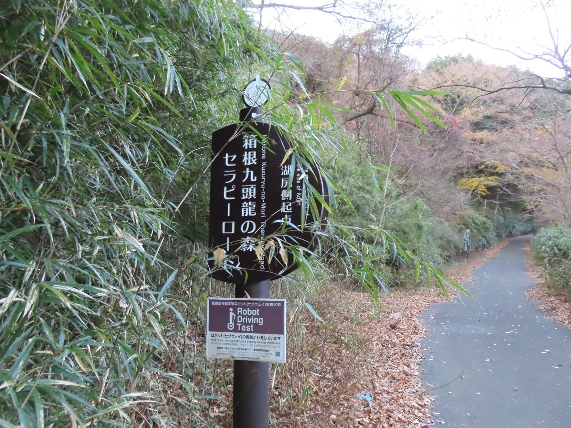 箱根 芦ノ湖東岸~湯坂路ハイキング（湖尻~箱根湯本駅）2024年12月12日: AYコーナー山ブログNO2