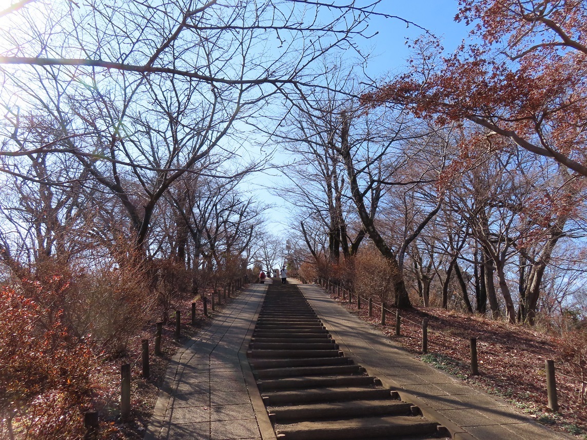 弘法山ハイキング（鶴巻温泉駅→秦野駅）2025年1月18日: AYコーナー山ブログNO2
